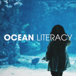 Home - Mercator Océan - Ocean Forecasters