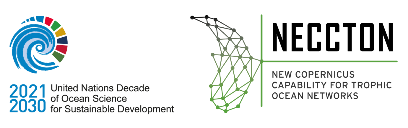NECCTON project - officially endorsed by the UN Ocean Decade - Mercator ...