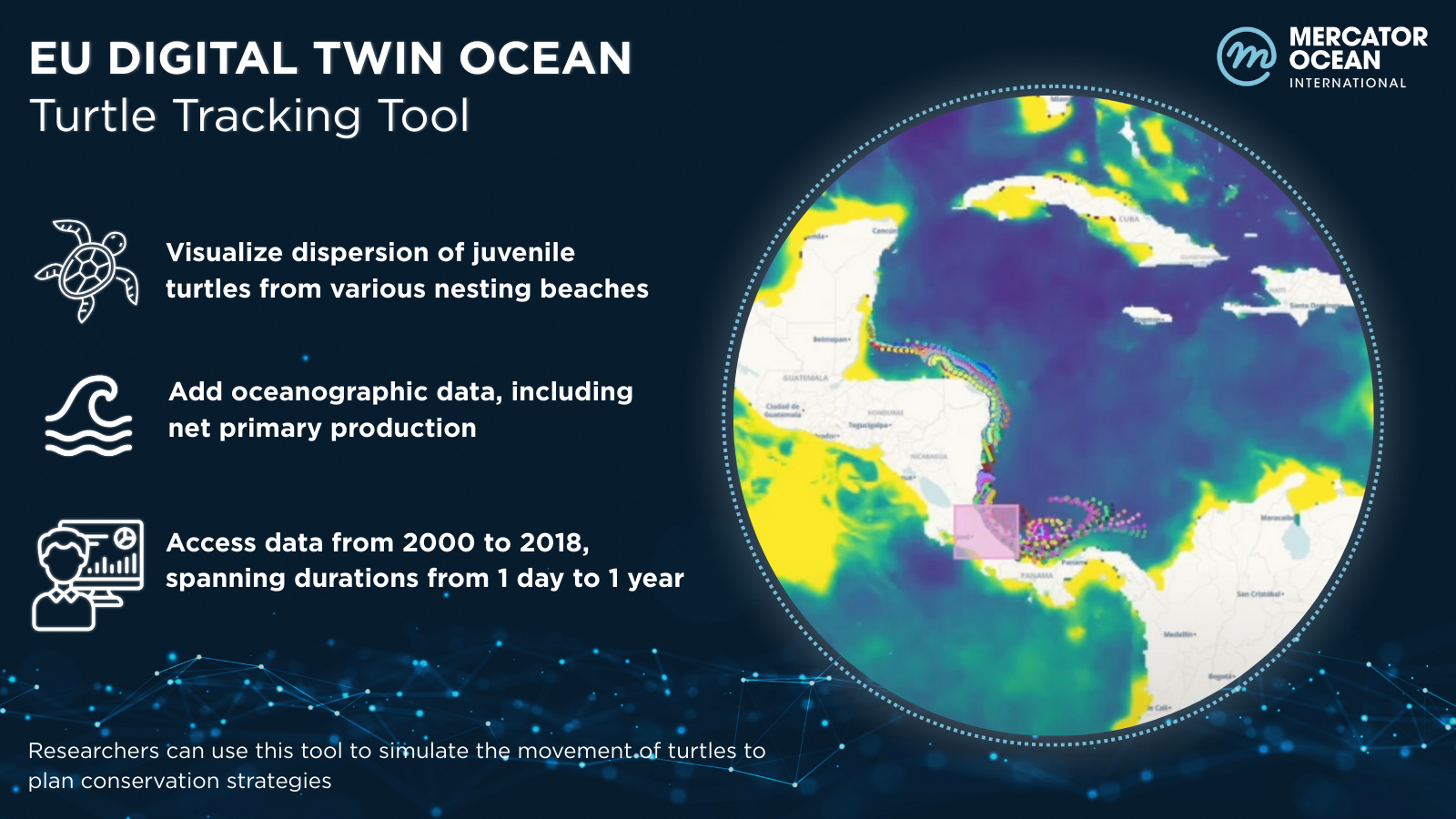 How does Europe help preserve marine biodiversity? - Mercator Ocean International