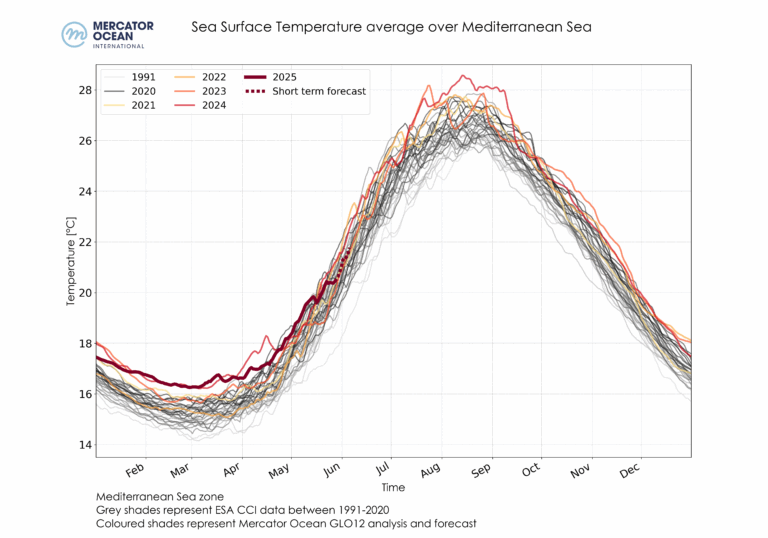 Ocean Temperature Bulletin - May 2025 - Mercator Ocean International