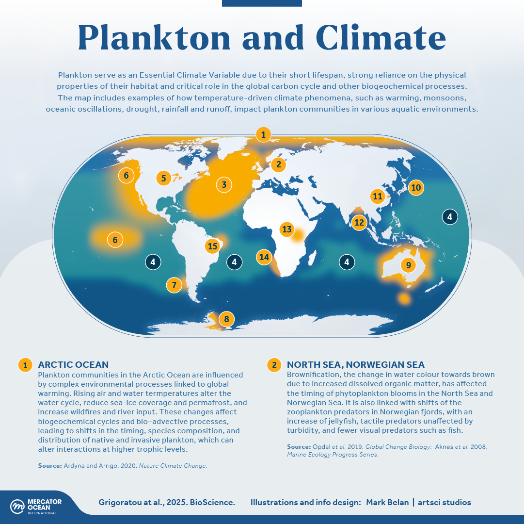 Vital role of plankton in sustaining life on Earth