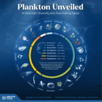 Vital role of plankton in sustaining life on Earth