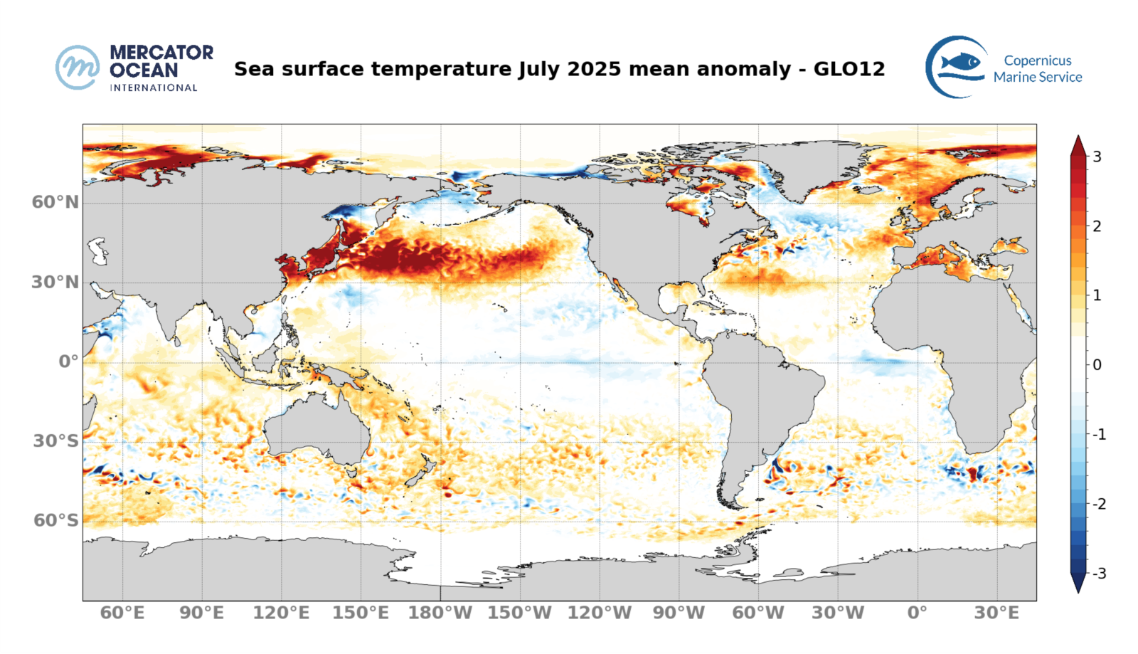 Extraordinary marine heatwave activity in Mediterranean Sea